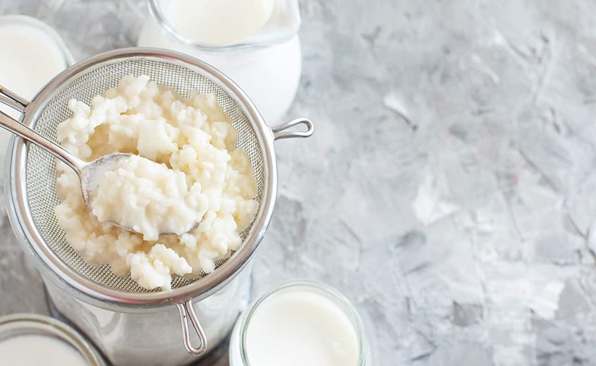 THE FASCINATING HISTORY OF MILK KEFIR - Quality Kefir